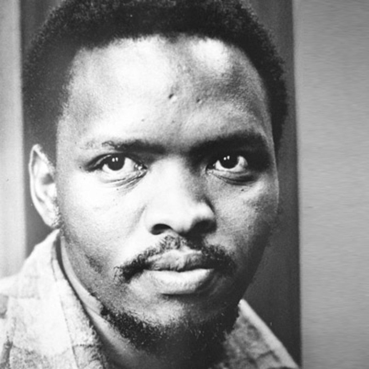 Steve Biko – Bridge Books